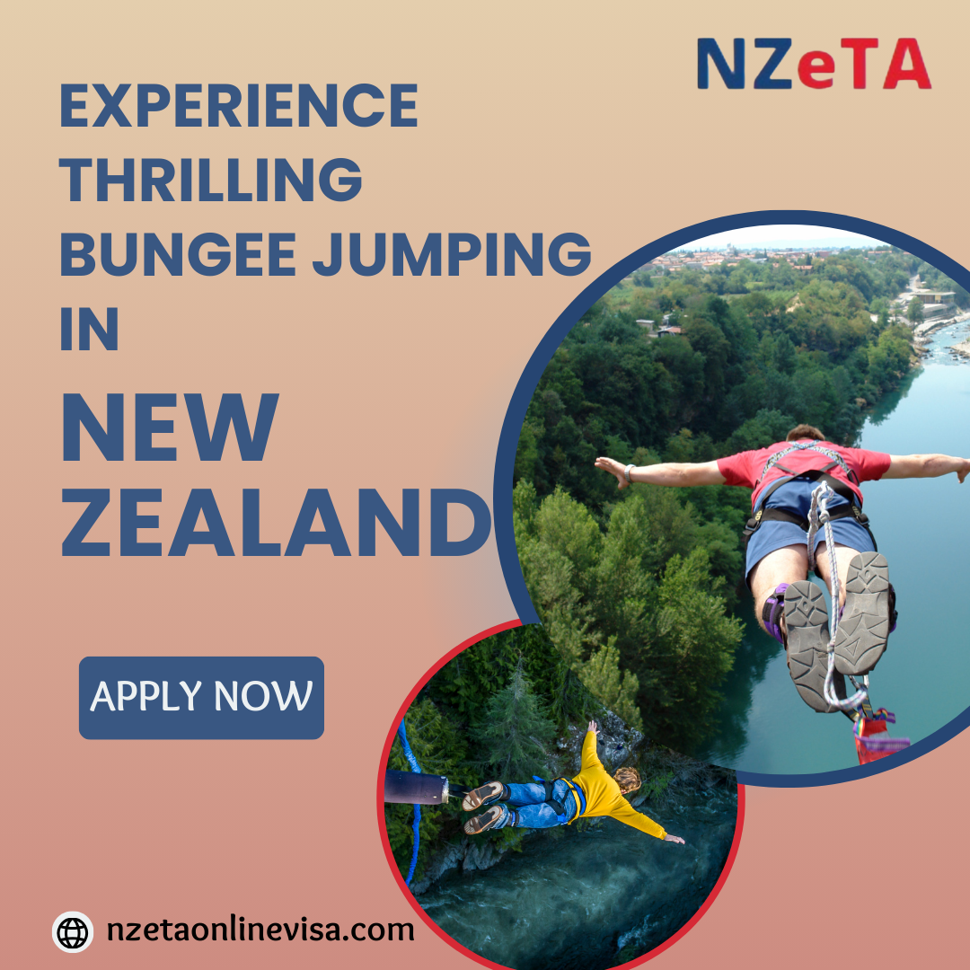 Unlocking the Benefits of New Zealand eTA: A Comprehensive Guide to Choosing the Right Visa | by ...