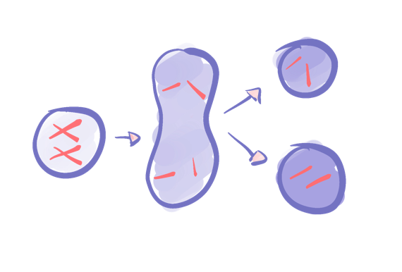 Prefect — A modern, python-native data workflow engine | by Michael ...