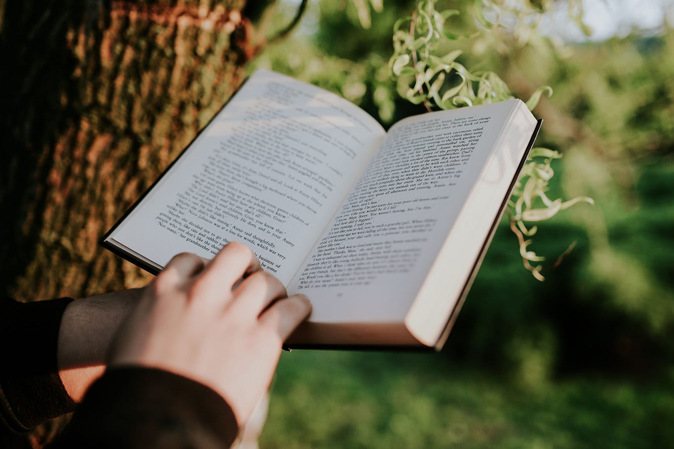 What an insightful list! Thank you! I discovered several new books that ...