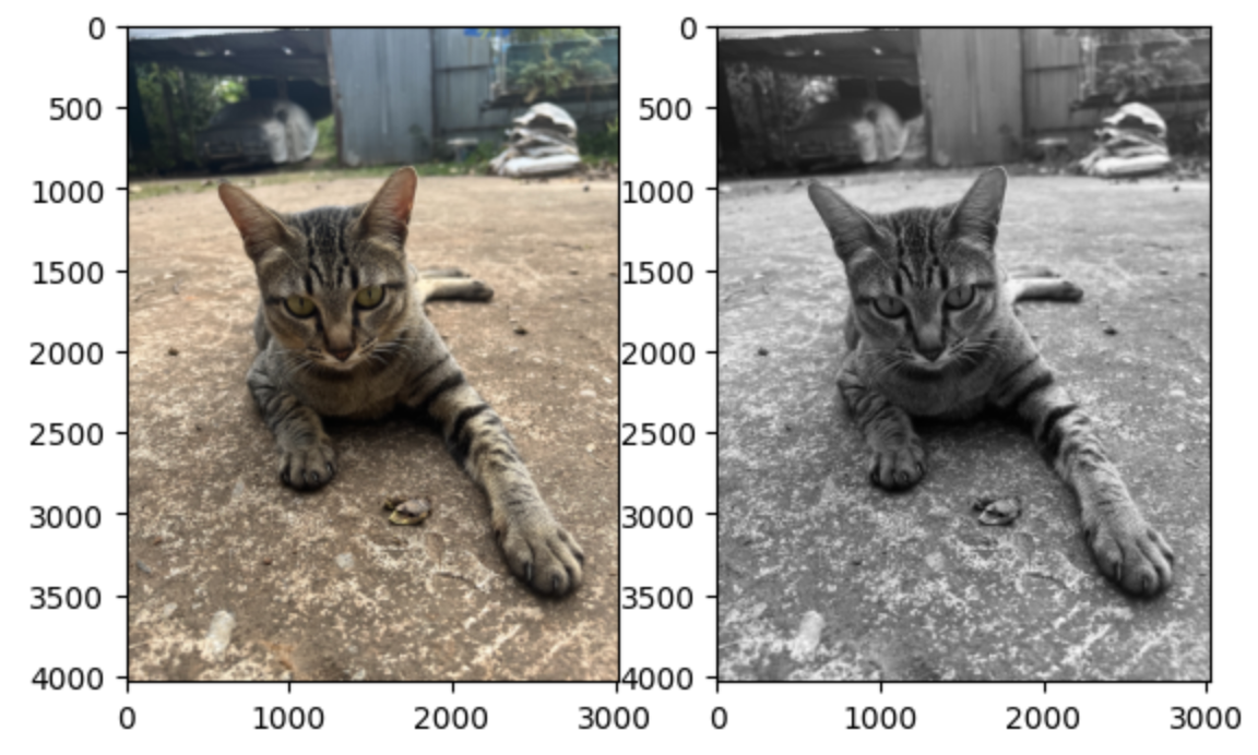 Model View Controller - Ponnipa J - Medium
