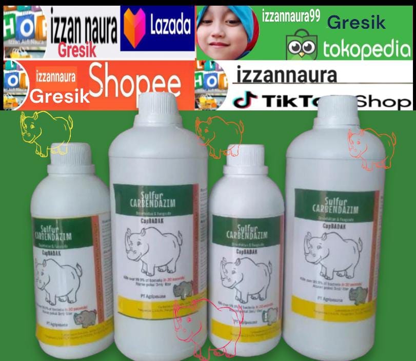 DESINFEKTAN KANDANG SULFUR CARBENDAZIM & FUNGISIDA CAP BADAK AGRIPESONA SOUCE IZZAN NAURA GRESIK ...