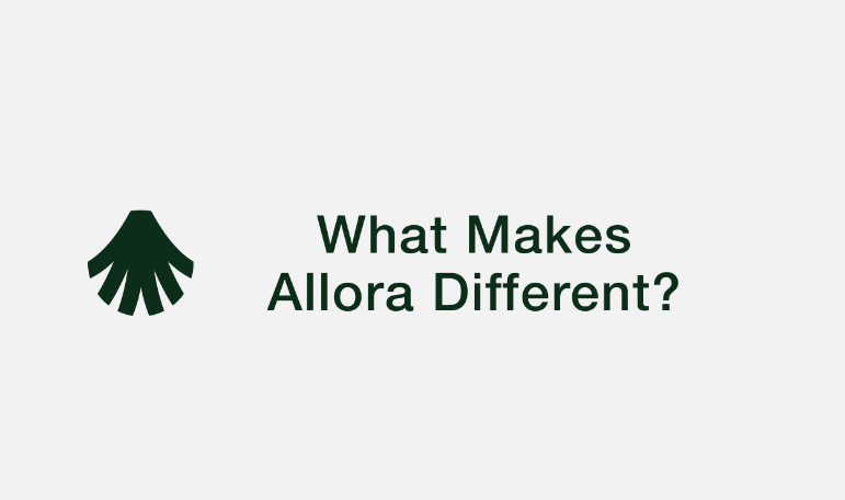 Guide: A simple way to customise your worker node on the Allora network ...