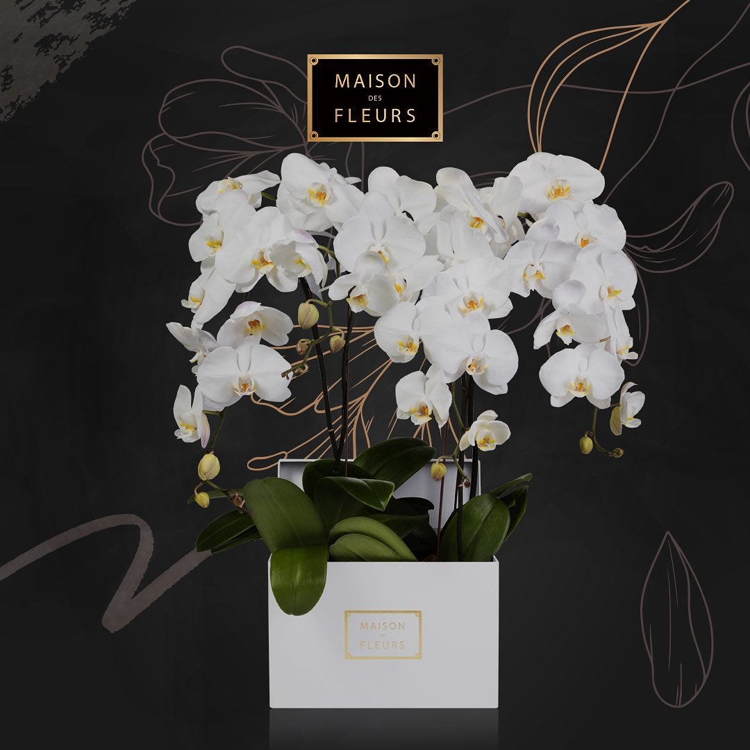 Maison Des Fleurs |Luxury Flower Shop in Dubai | by Mdf Marketing | Medium