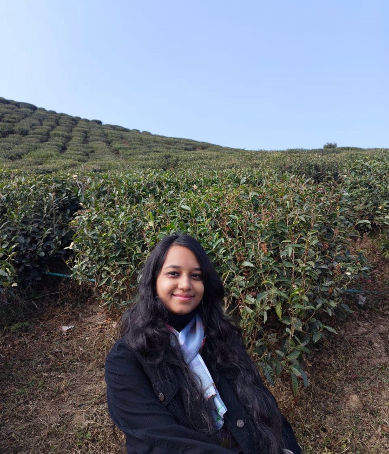 Intern Chronicles | Manas Sharma | McKinsey & Company | by Mekanika IITKGP | Feb, 2024 | Medium