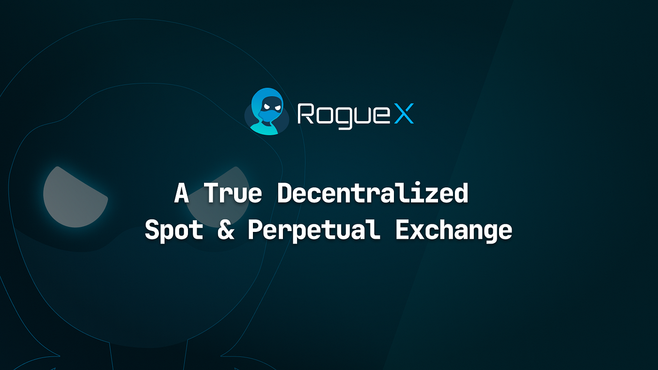 RogueX Stage 2 Launch Plan. With the successful competition of our ...