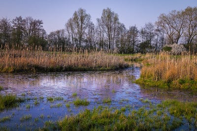 STEWARDSHIP FOR CLEAN-HEALTHY RIVERS | by Damini Sharma | Dec, 2024 ...