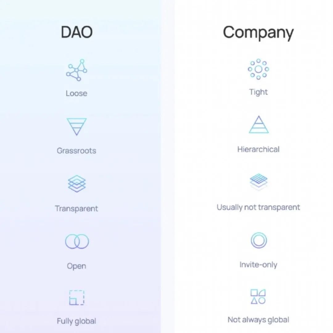 The new trend of 2022, what is DAO? | by DAOPORT Official | Medium