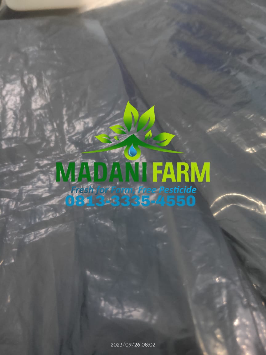 Distributor Plastik Mulsa Distributor Plastik Mulsa Pertanian Melayani ...
