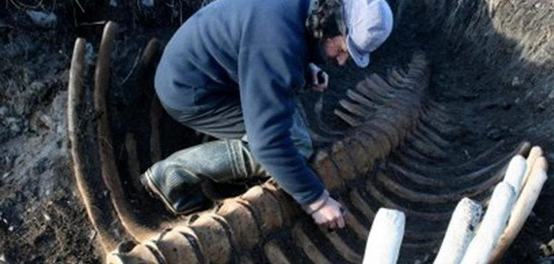 Giant Footprints Found In China Prove That Ancient Giants Walked Among ...