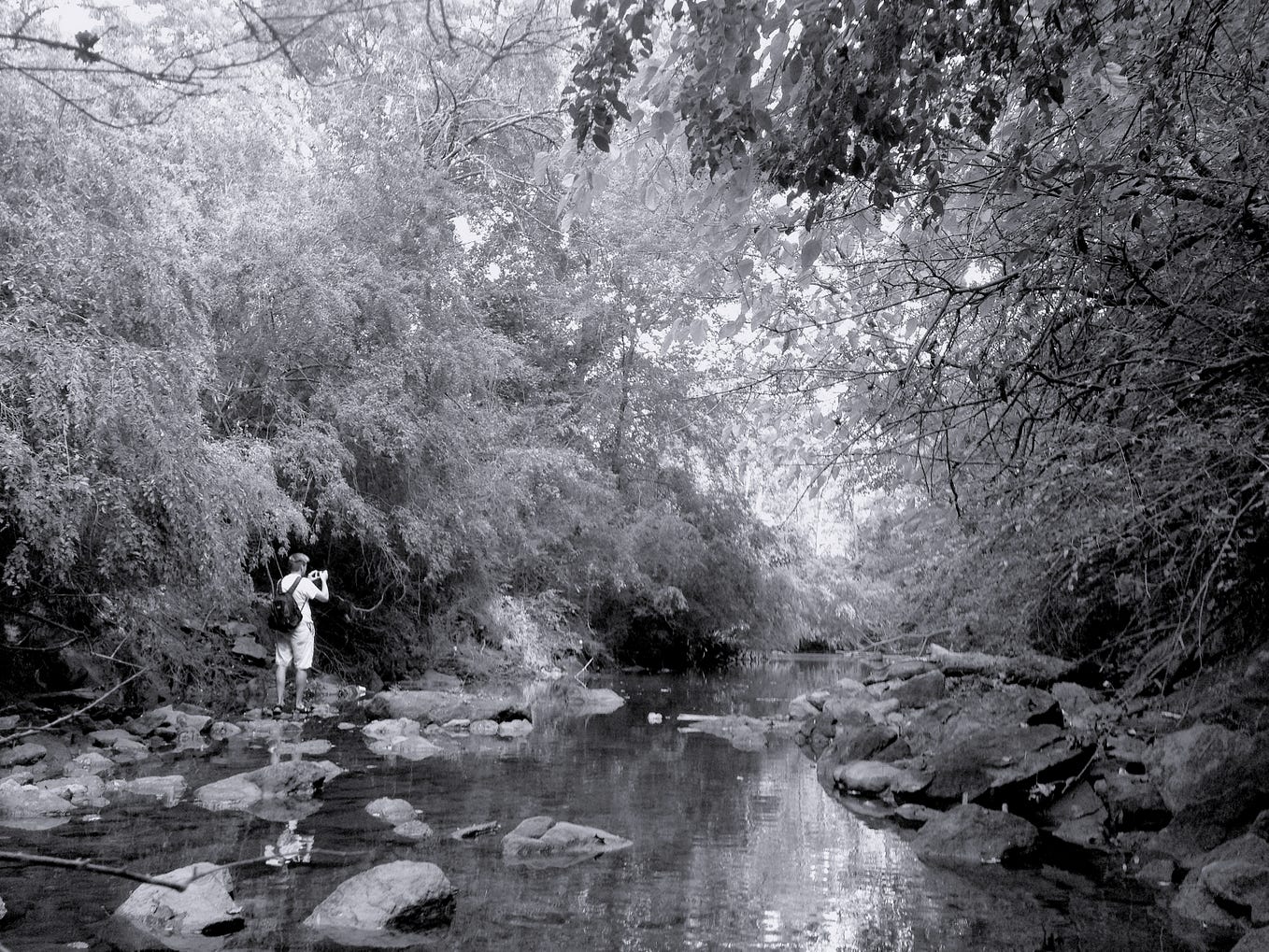 The Spring That Got Deleted. An old plat reveals the importance of ...