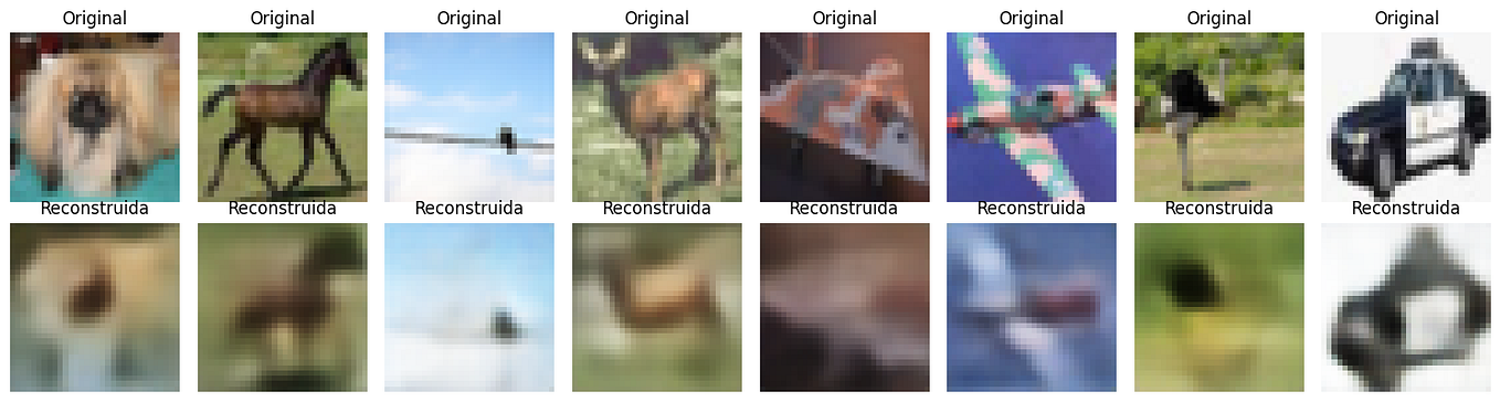 What happens in Sparse Autoencoder | by Syoya Zhou | Medium