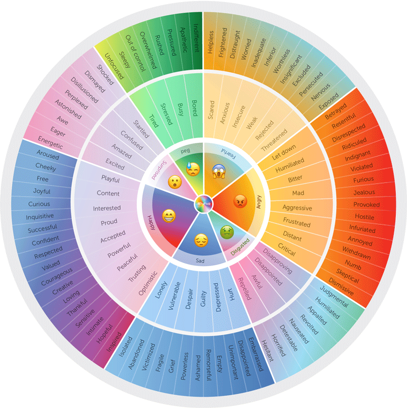 What Is The Emotion Wheel And How Do You Use It? | by Xavier Jervis ...