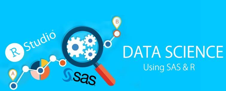 TERMINOLOGY OF SAS TRAINING. The sas program is the software that… | by ...