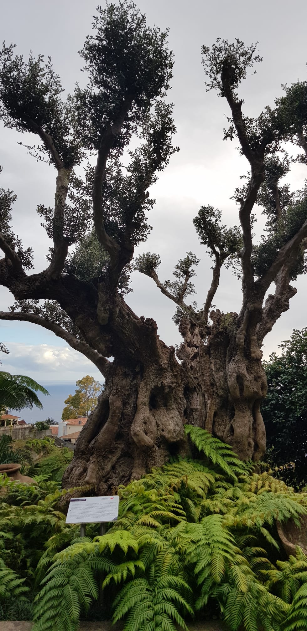 It's nice to experience the differences, right? And wonder how life ...