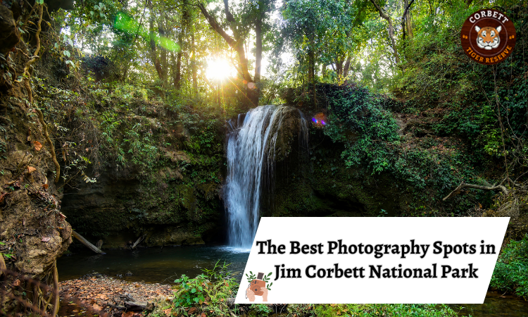 know About Corbett National Park’s Safari Zones - Corbett Tiger Reserve ...
