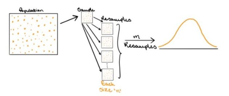 Linear and Non-Linear Decision Boundaries in Machine Learning | by ...