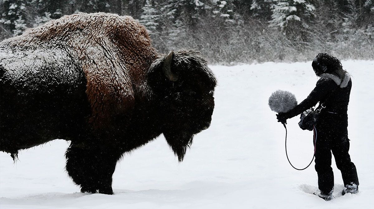 Node.js, PM2, Docker & Docker-compose DevOps | by Adrien Desbiaux | Medium