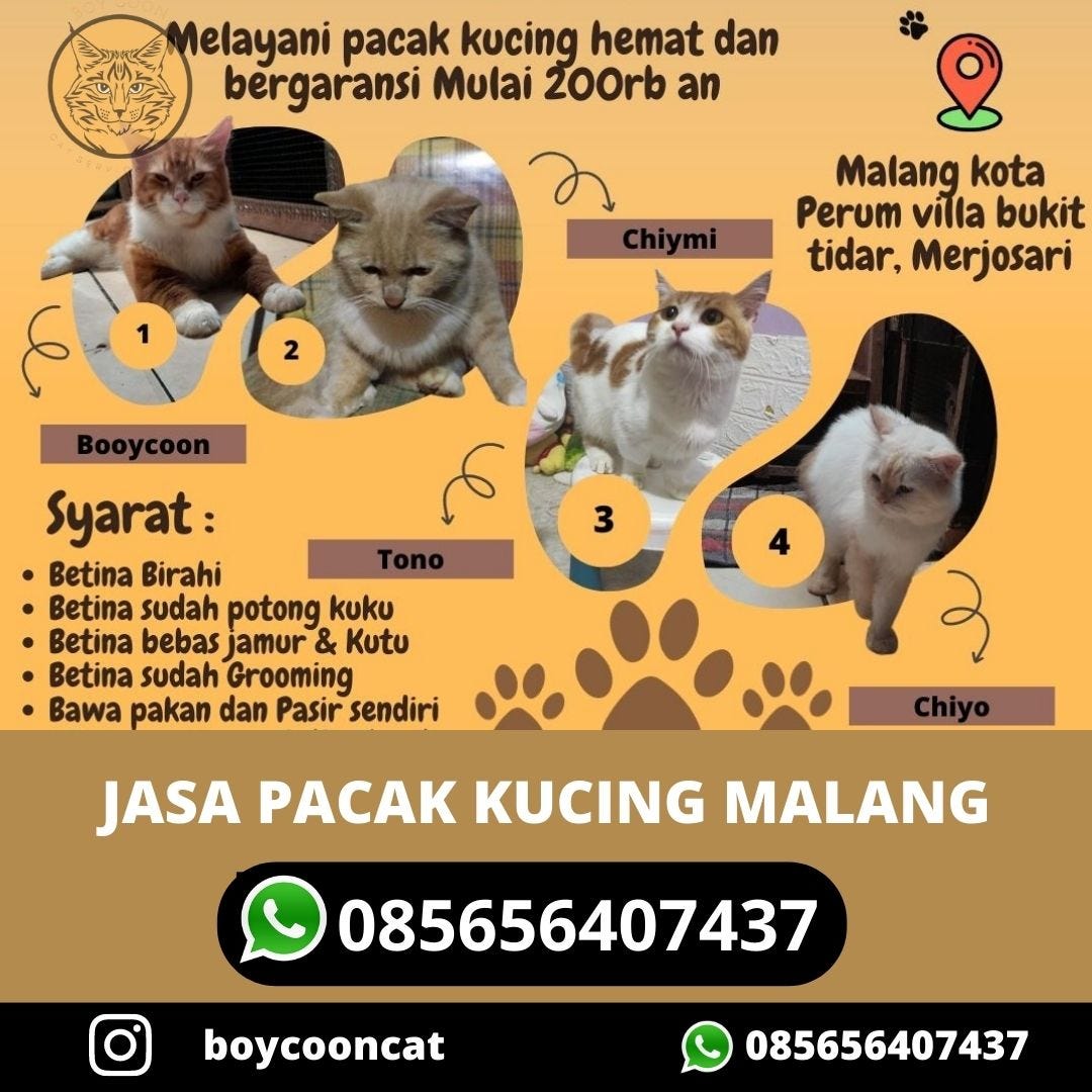 MULTIVITAMIN HERBAL KUCING NUTRIPUS | by Pacakkucingmalang | Medium