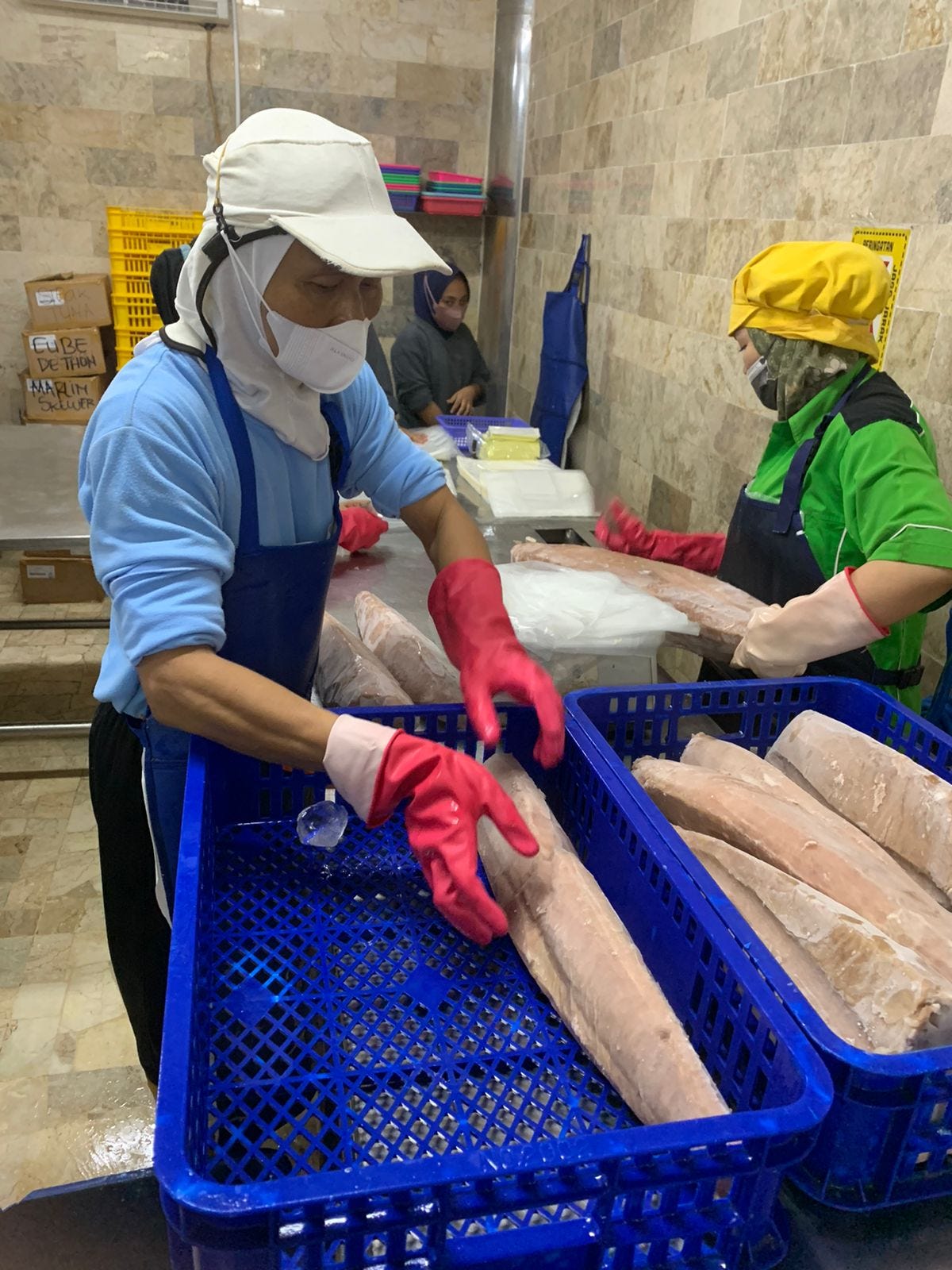 GUARANTEED, SAMUDRA ADHYA INTERNATIONAL Supplier Frozen Bluefin Tuna | by Factoryyellowfintuna ...