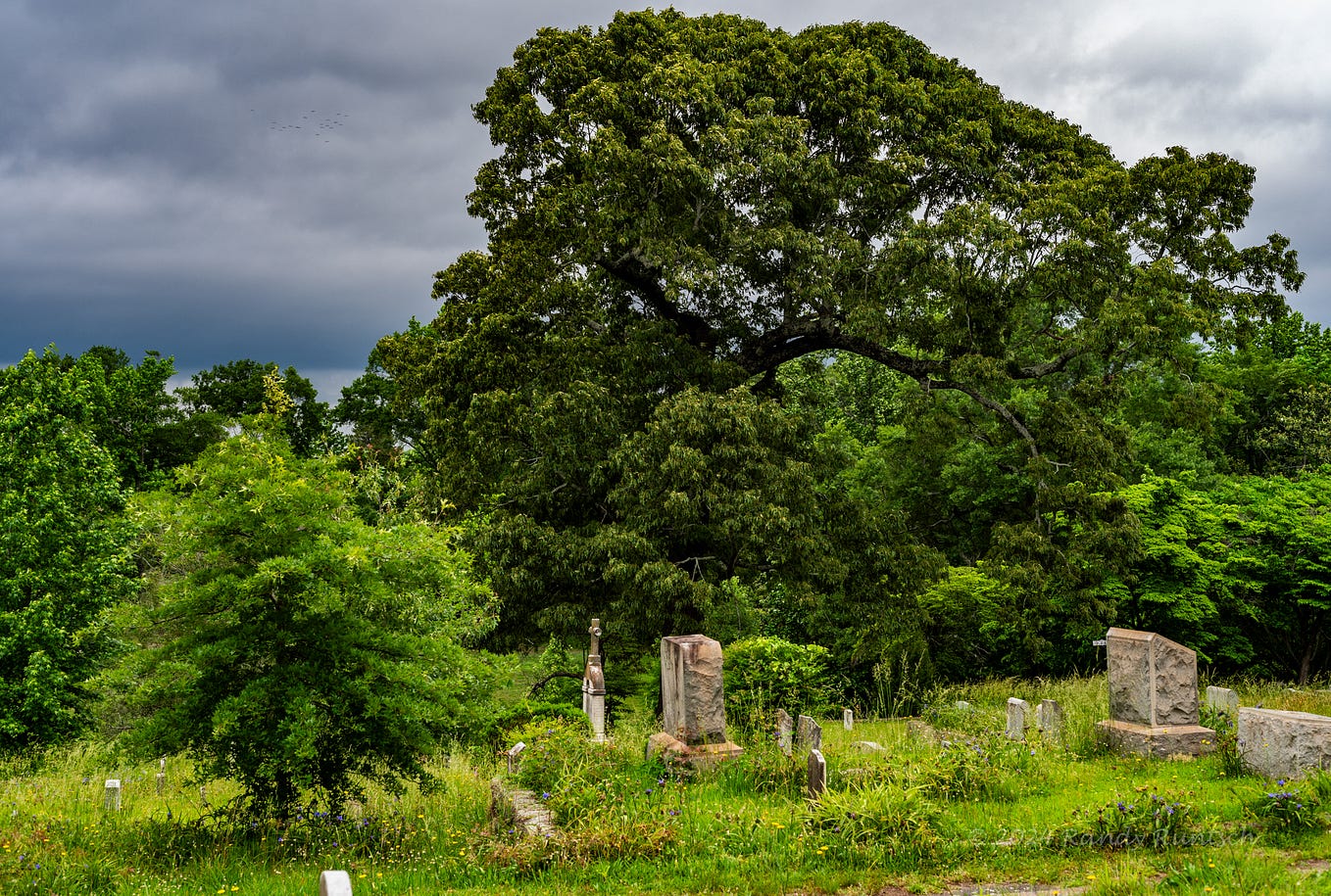 Acquire and Visualize US Inflation Data with the BLS API, Python, and Tableau | by Randy Runtsch ...