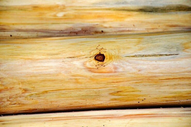 Carpenter Bees: Traps, Damage, and Prevention. | by Beesnthings | Jun ...