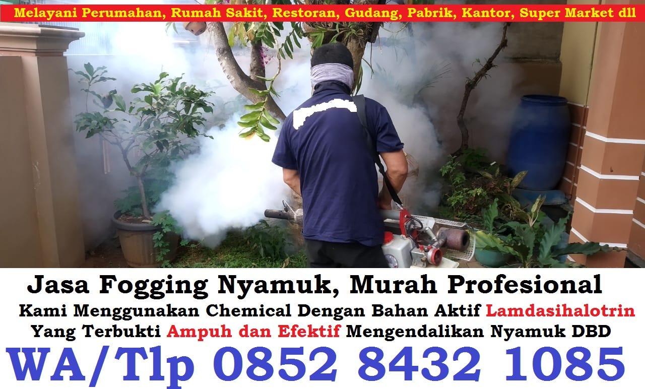 Jasa Fogging Nyamuk Di Bogor Tenjo Murah Profesional | by Gede | Medium