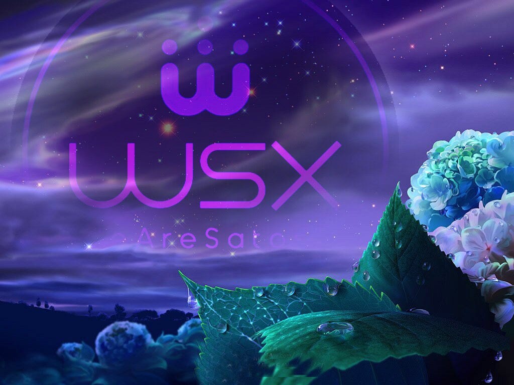 WeAreSatoshi (WSX) — A Blast From the Past With Incoming Coin Burn. | by NativeCoinOfficial ...