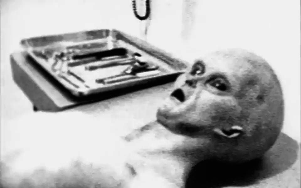 Evidence for the Testimony of Charles Hall and the Tall Whites | by ...