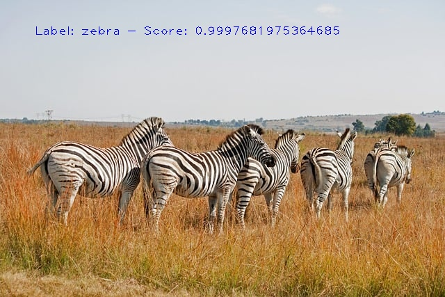 Masked Autoencoders Are Scalable Vision Learners | by Souvik Mandal ...