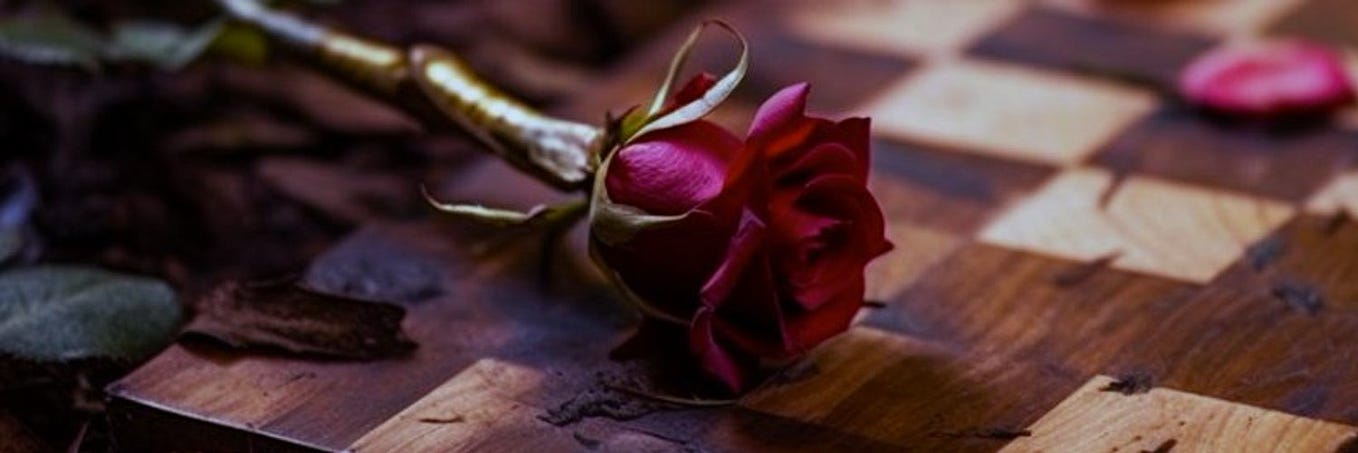 Understanding Open Source vs. Closed Source Software: A Beginner’s Guide | by 🕋 Fibonacci_Mann ...