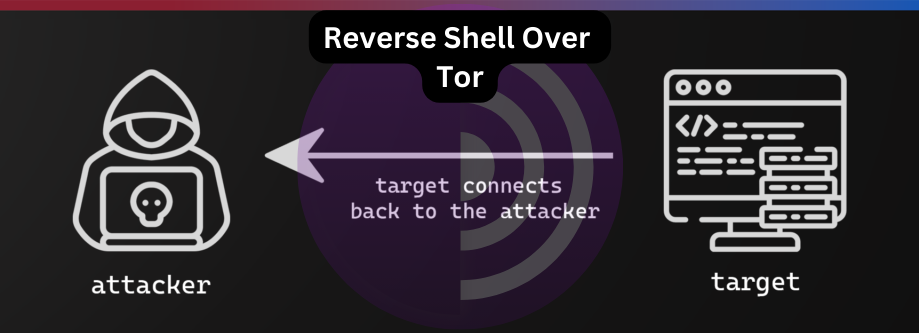 Exploring Hidden Web Directories with URL Fuzzing: Techniques and Tools | by ShockerSam | Medium