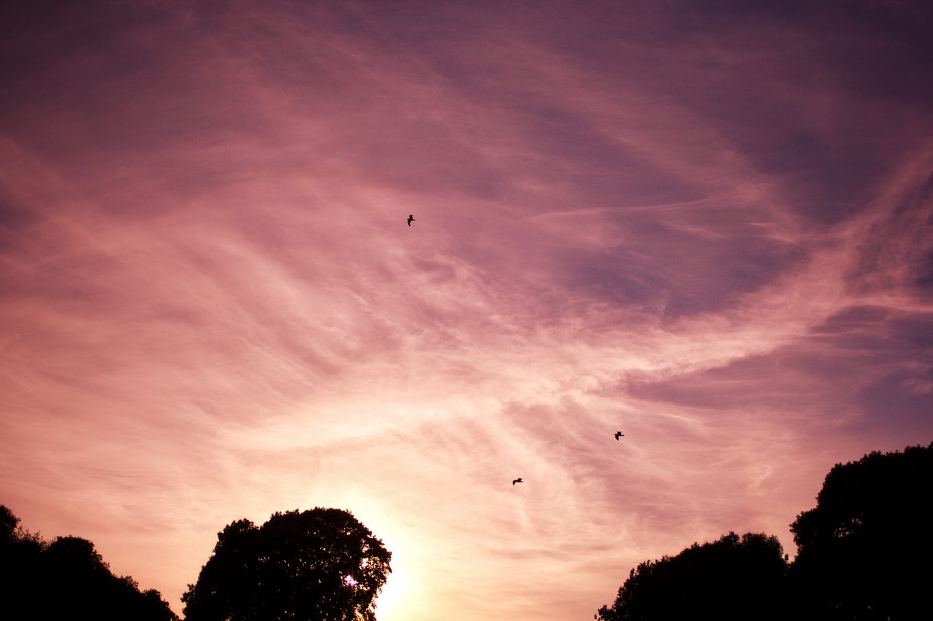 Nature Photography Can Be a Grave Pastime | by Randy Runtsch | Full ...