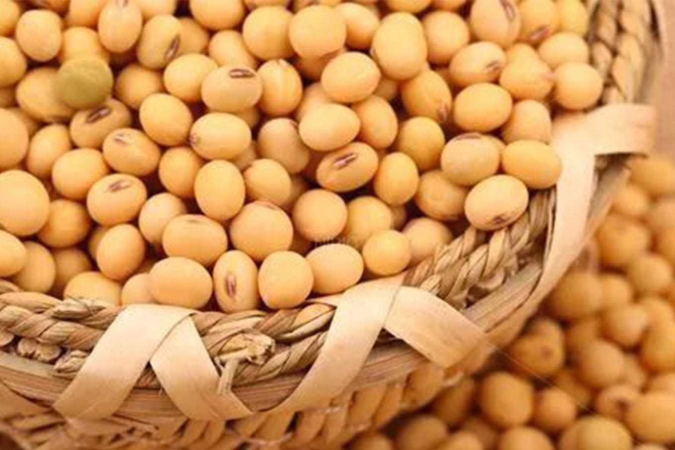 Soywhey Vs Soy Protein Comparing Health Benefits And Fitness Effects By Fp Group Jul 2024
