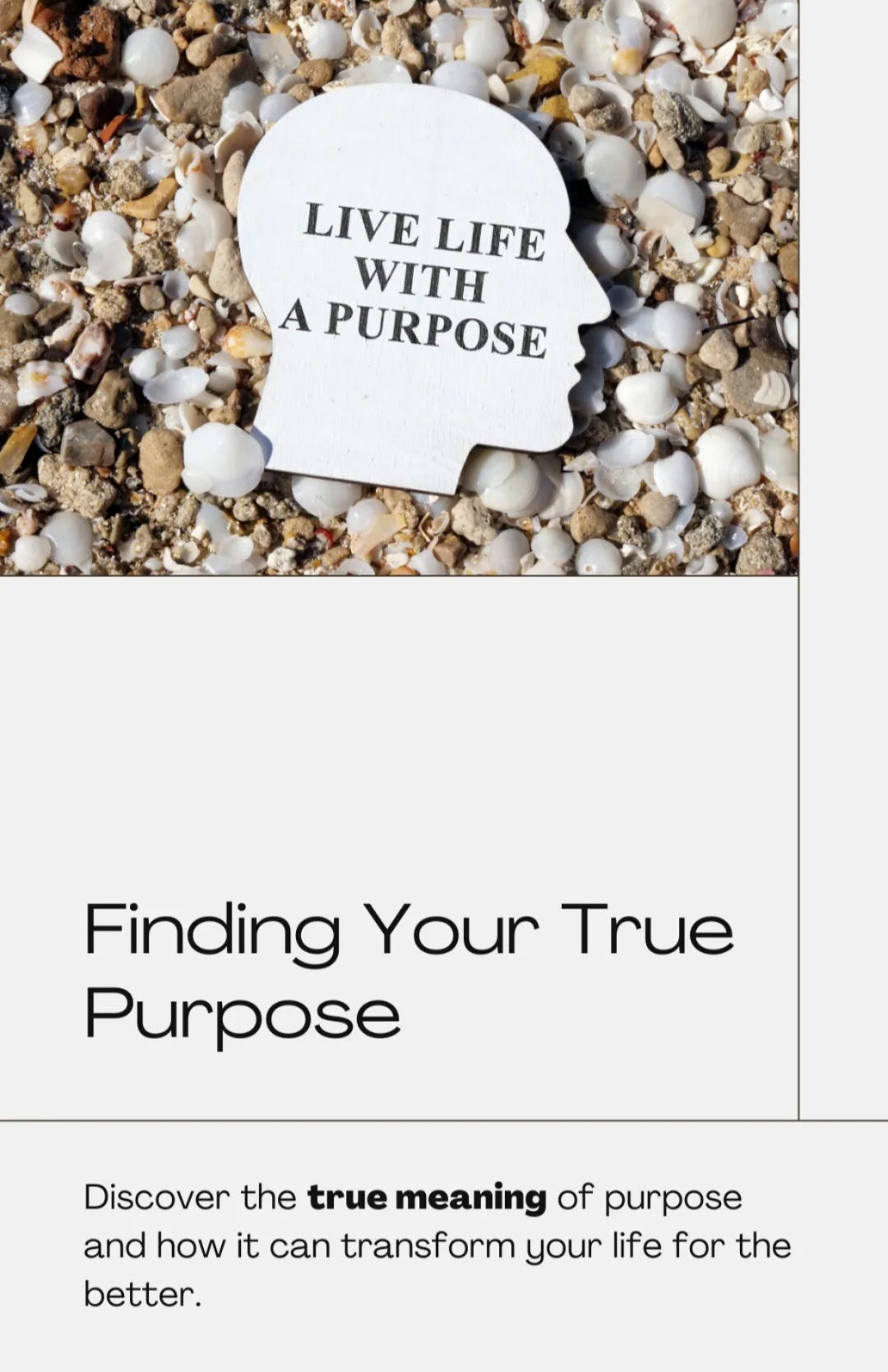 Understanding Your Purpose. Achieving worldly goals alone will not ...