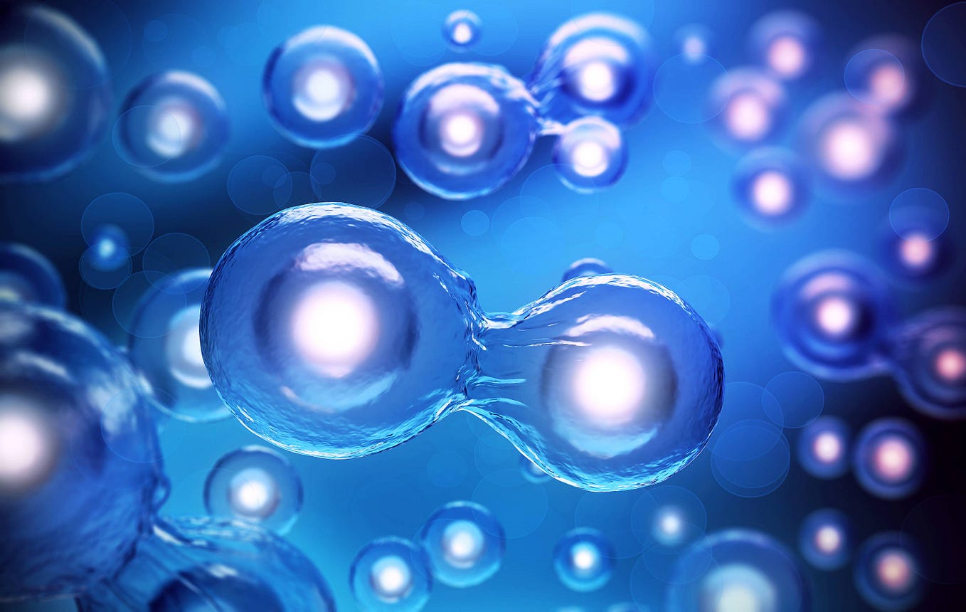 Comparison of BL21(DE3) and Rosetta strains | by KMD Bioscience | Medium
