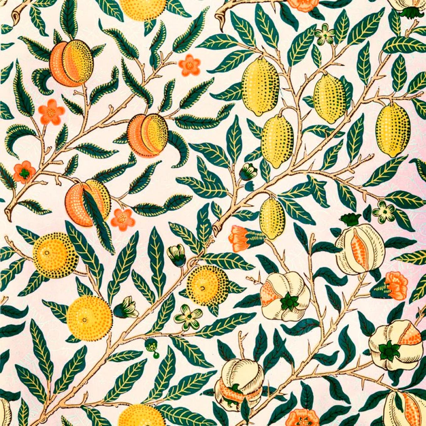 Meztli: The Aztec Moon Goddess. The Aztec civilization, rich with… | by ...