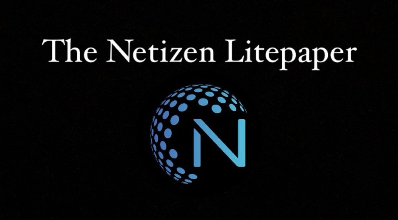 Transforming the Internet: Netizen’s Vision for Gamified Digital ...