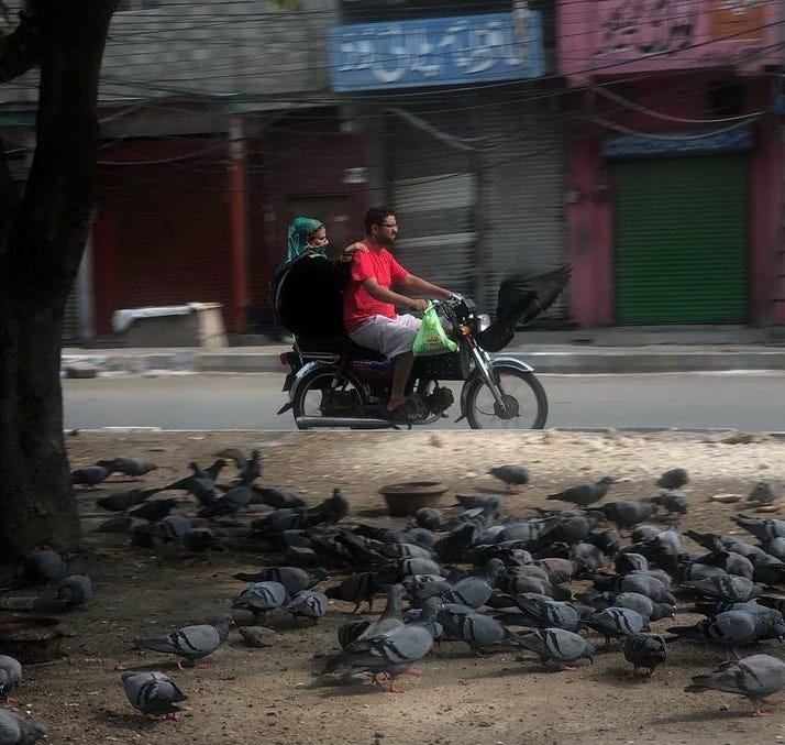 An Ode to Harsukh: An Unconventional School in the Outskirts of Lahore | by Mohsina Asif | Medium