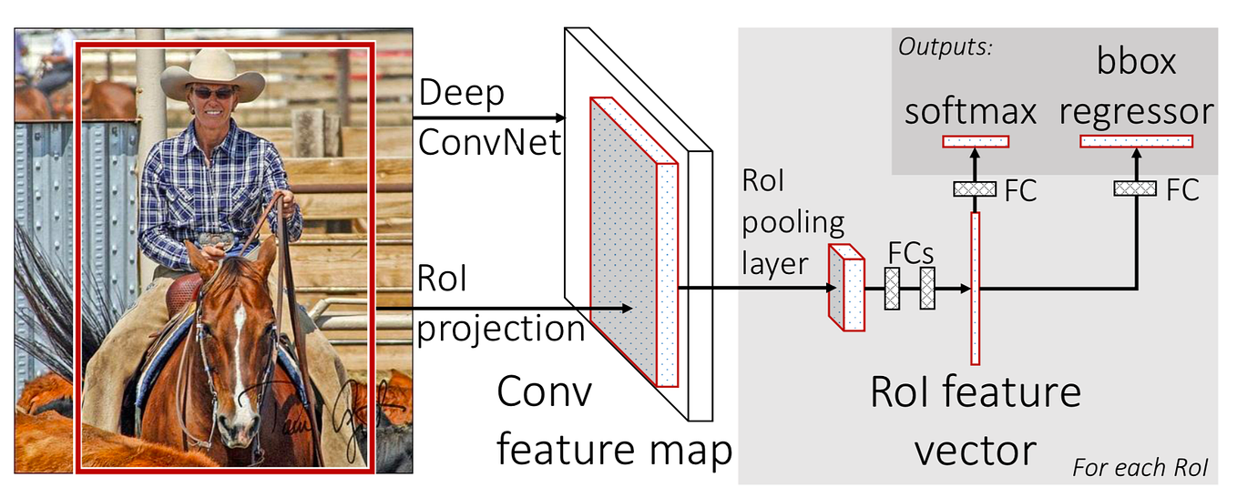 R-CNN (Object Detection). A beginners guide to one of the most… | by ...