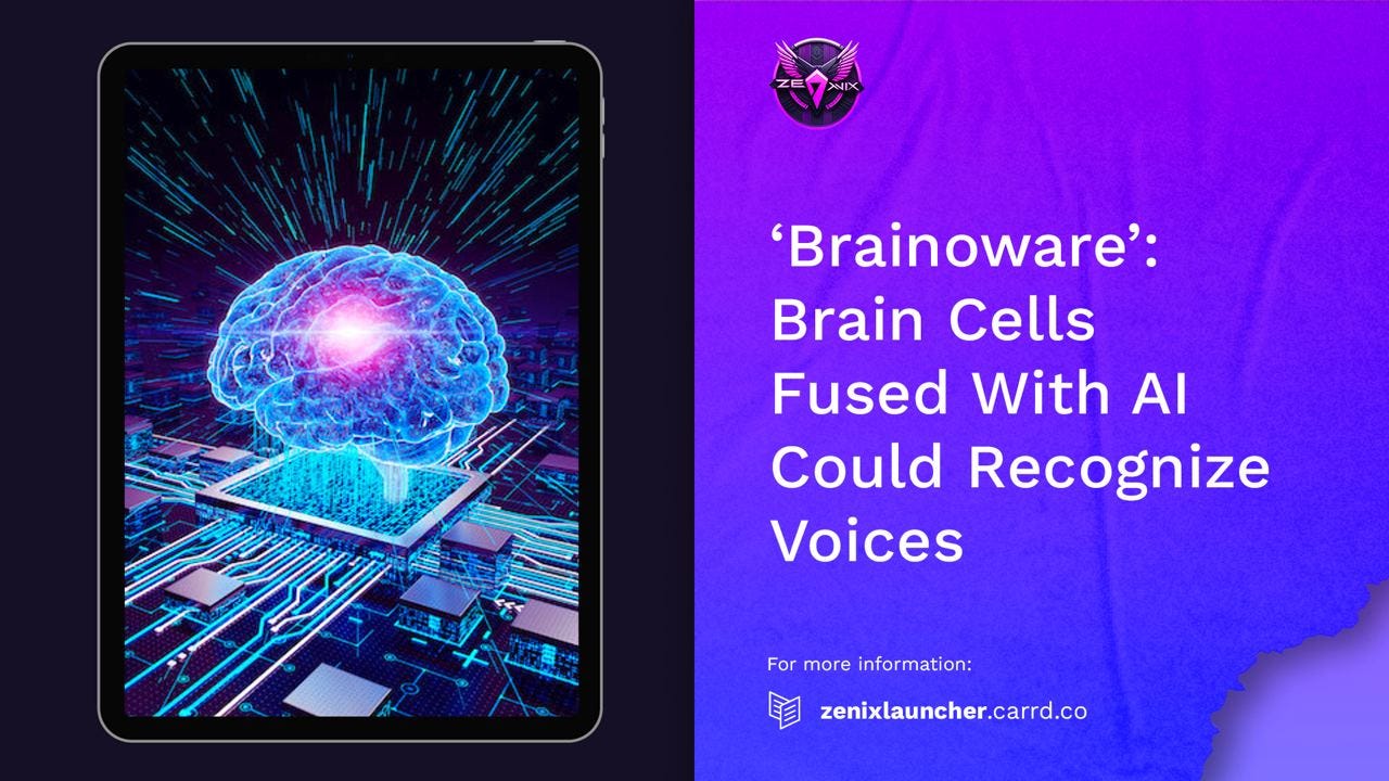 Zenix Launcher - News 📰 | Polkadot (DOT) Up 8% Amid Staking Upgrade Polkadot (DOT) has made ...