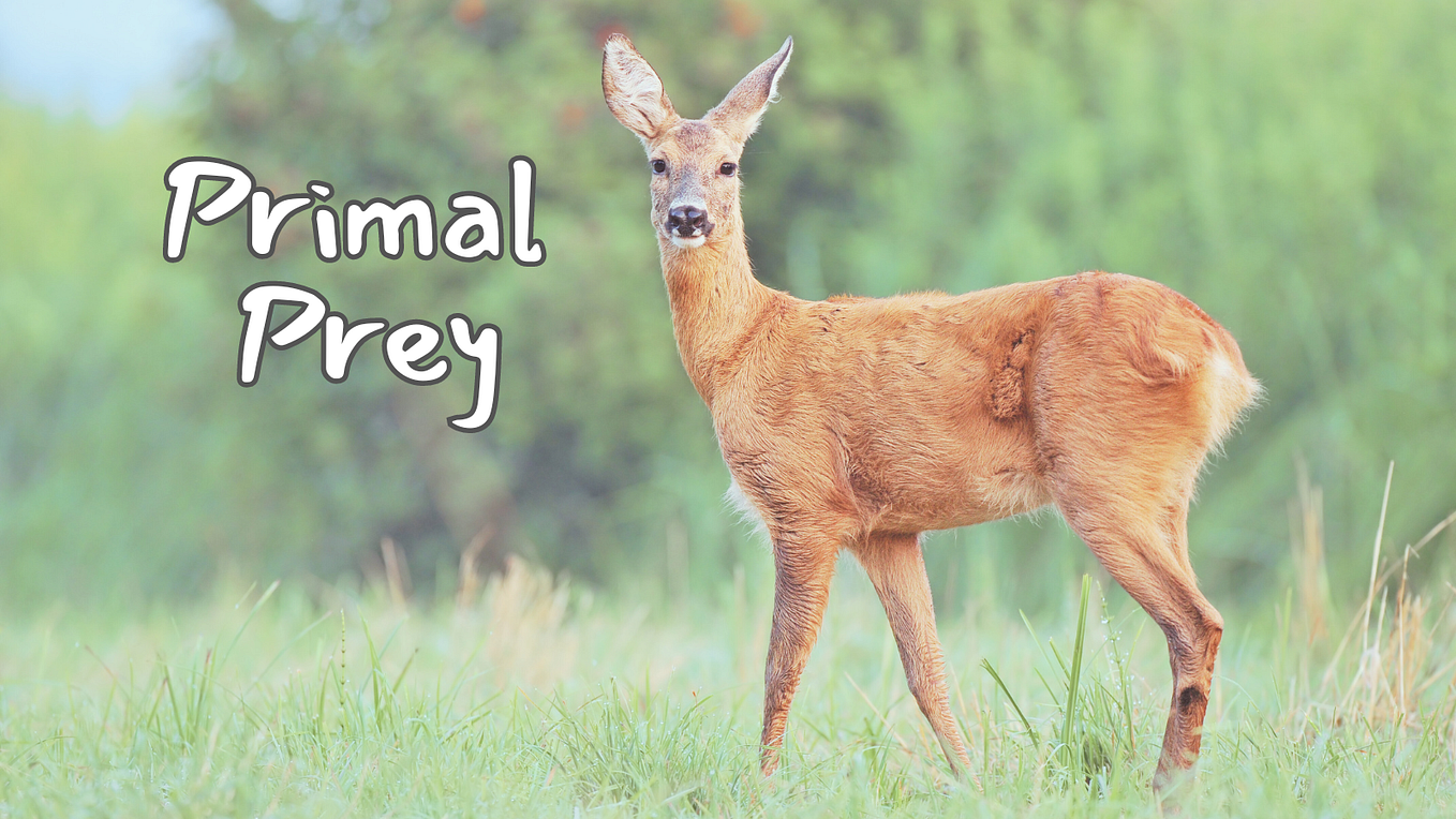 What does it mean to be primal?. Definitions are in the heart of the ...