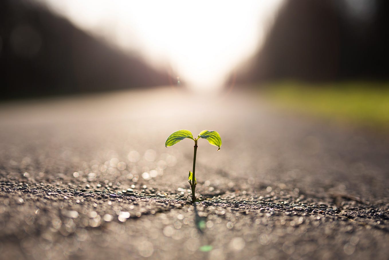A Step By Step Guide To Deploying Zowe With A Z Osmf Pswi By Jan Prihoda Zowe Medium
