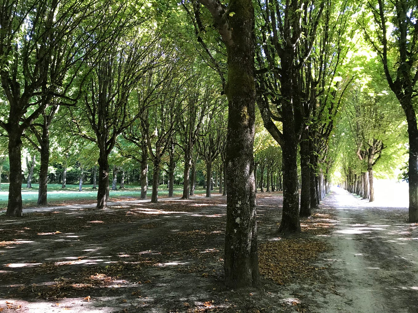 An RFM Analysis with Python | Wenling Yao | Towards Data Science