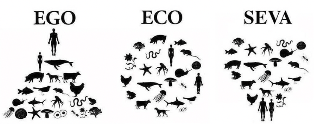 Green Jobs & Sustainability: Paving the Way to a Greener Future | by ...