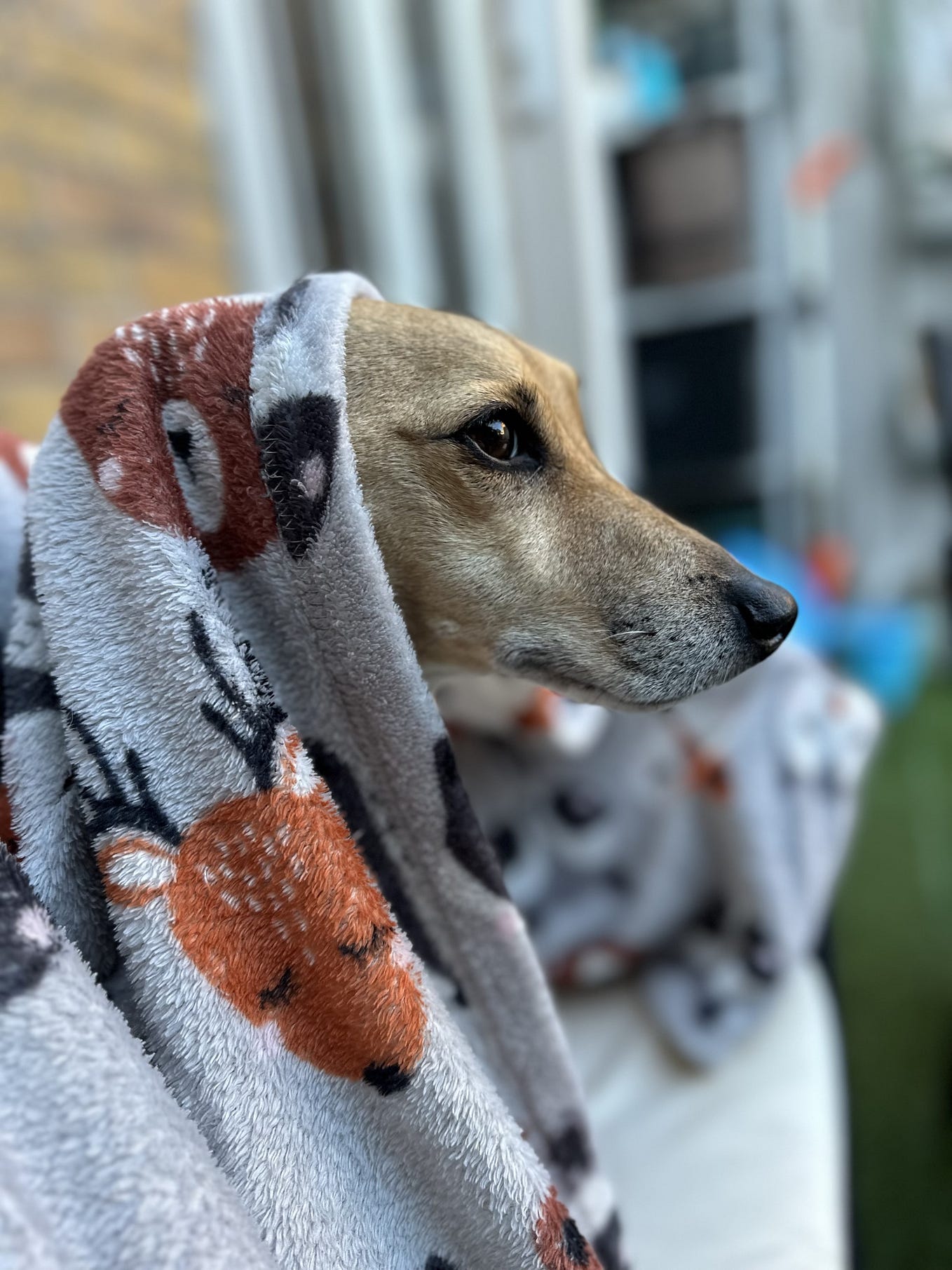 What is sleep? 🤣 - Poppy Dunn - Medium