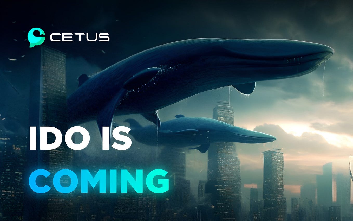 How to bridge assets to the Sui blockchain and how to provide liquidity on Cetus? | by ...