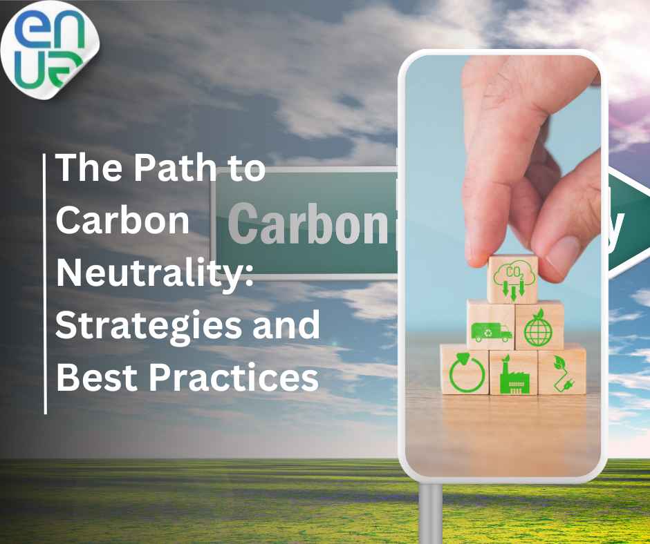 How Carbon Offsetting Works: A Step-by-Step Guide | by EnenGreen | Sep ...
