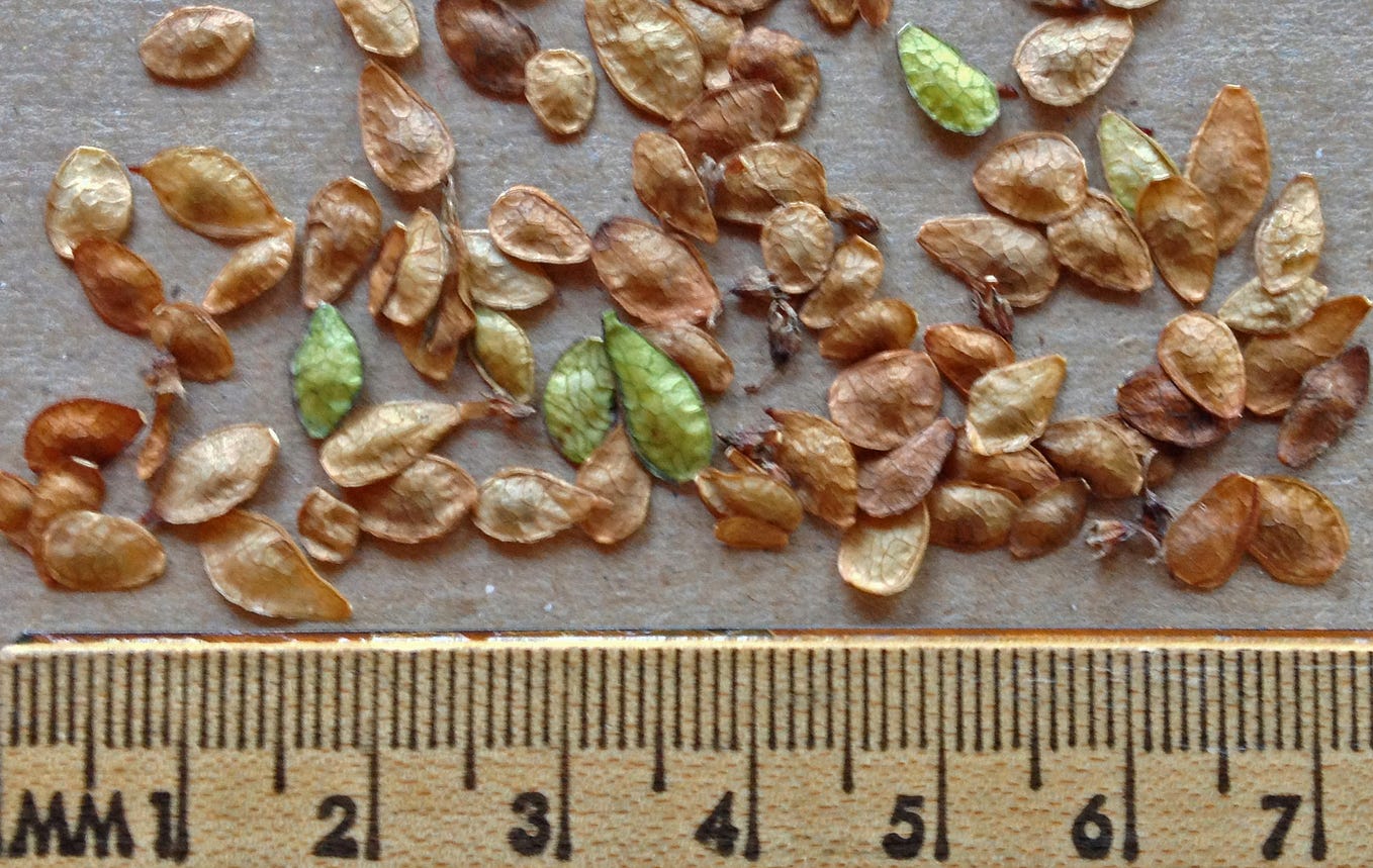 Storytelling: Your Ultimate Weapon in the War of Ideas | by carmine ...