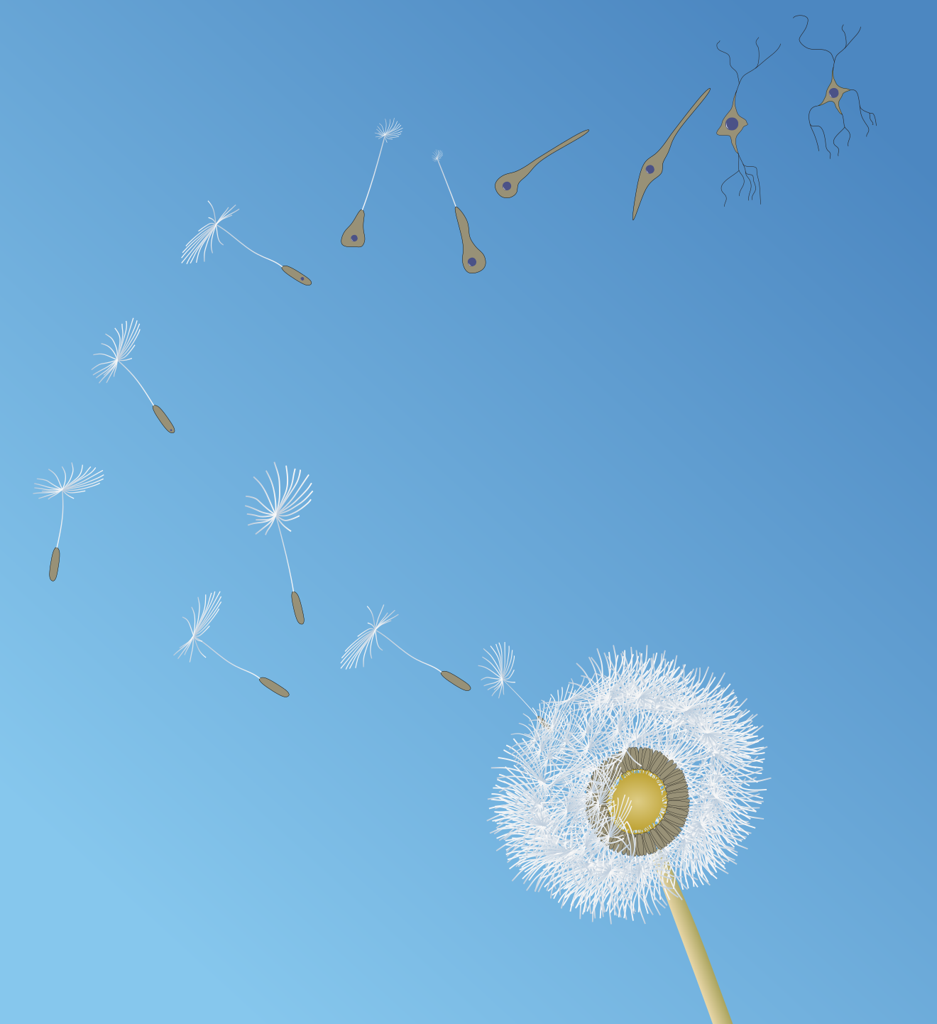 Getting Started with Single Cell Genomics in Python | by Matthew ...