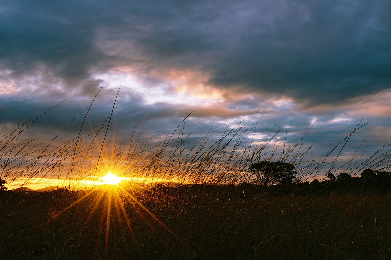 Create a simple responsive image gallery with HTML and CSS | by Tim ...